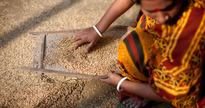 Unhealthy soil, contaminated food: rice residues can help