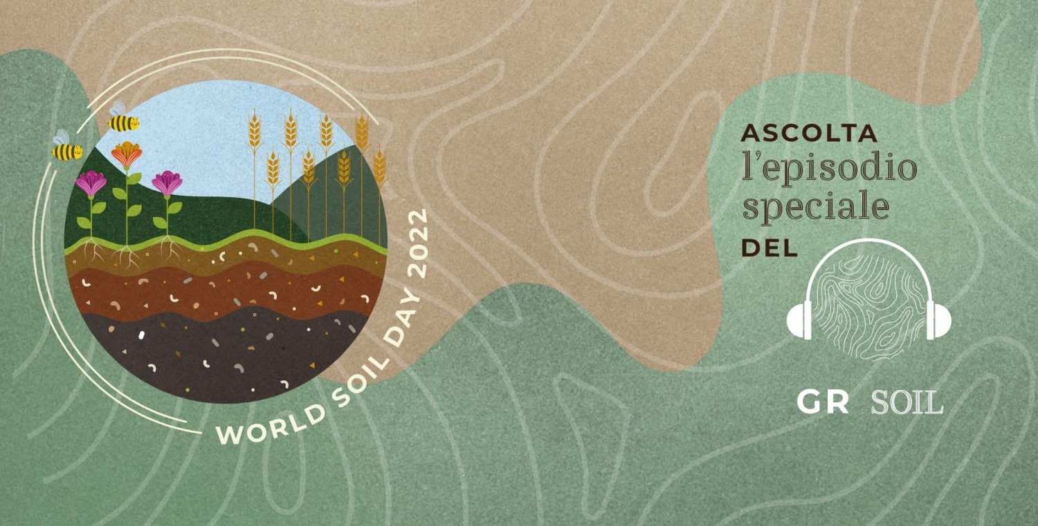 Re Soil Foundation | Regeneration for clean and healthy soil.