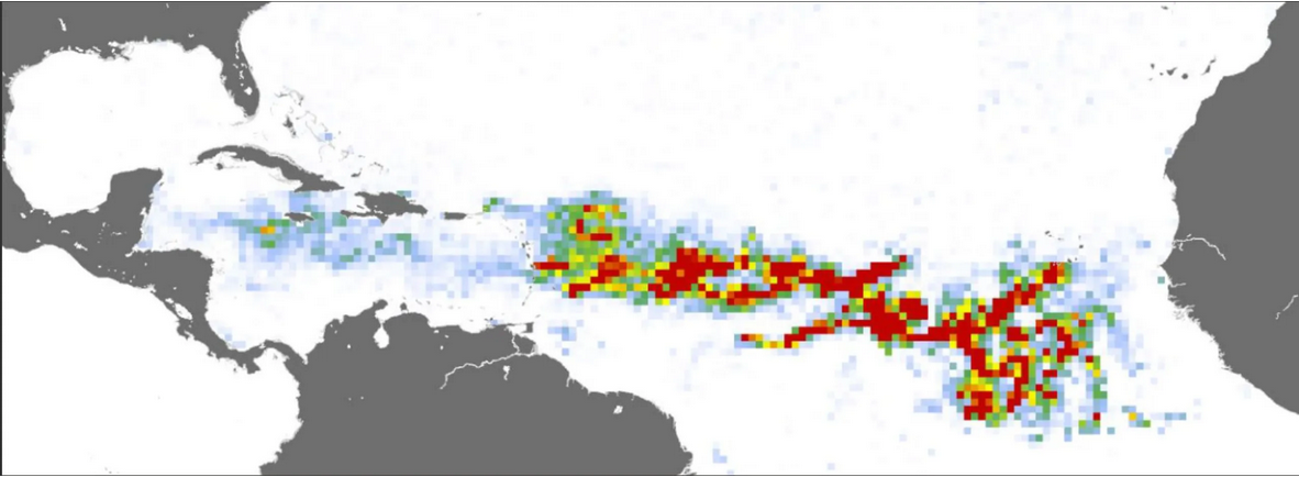 Florida, behind the invasion of seaweed two actions of man on land