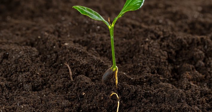 Spectroscopy offers new opportunities for soil analysis