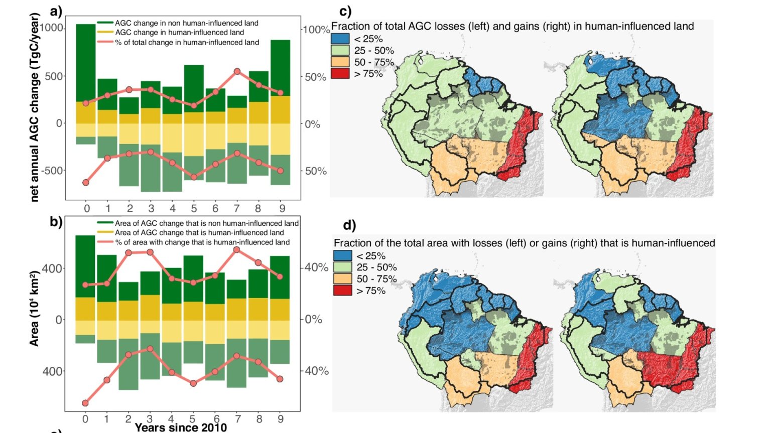 Carbon balance in Amazon rainforest shows huge 10-year deficit